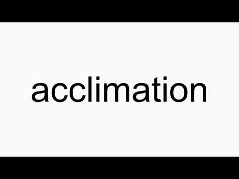 How to pronounce acclimation