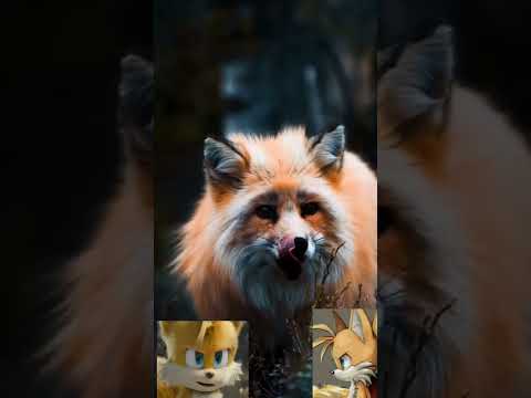 ✨ Tails the fox real life ✨