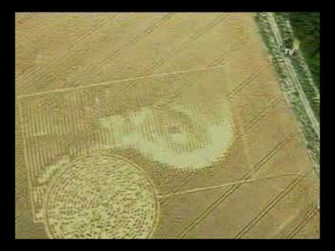 Los Agroglifos | El Escudo de Orlac