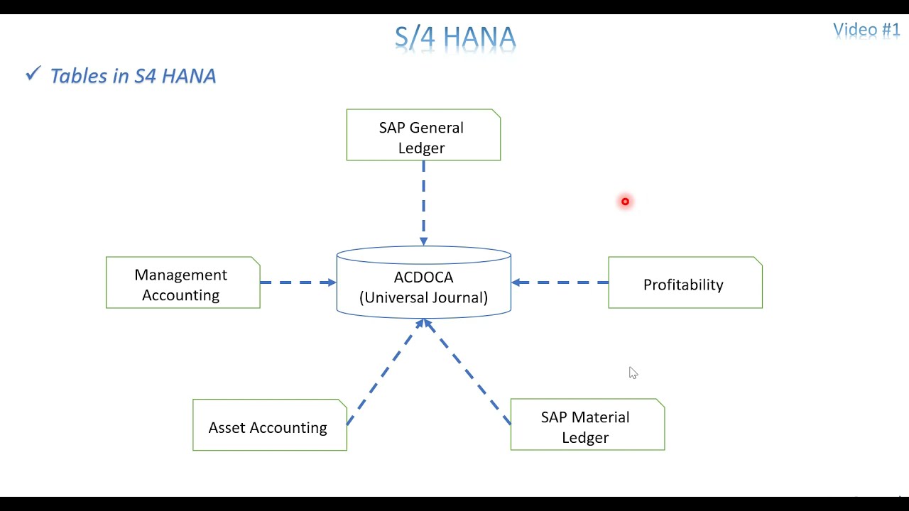 Video 1: S/4 HANA - Overview