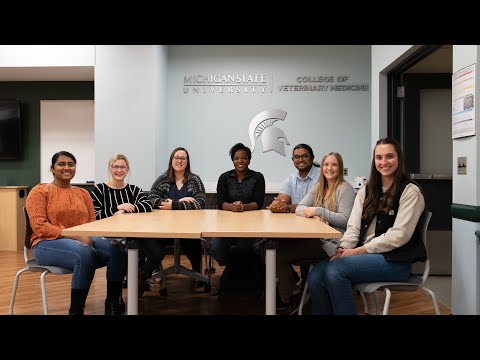 Elevating Veterinary Excellence: Scholarships That Transform the Landscape