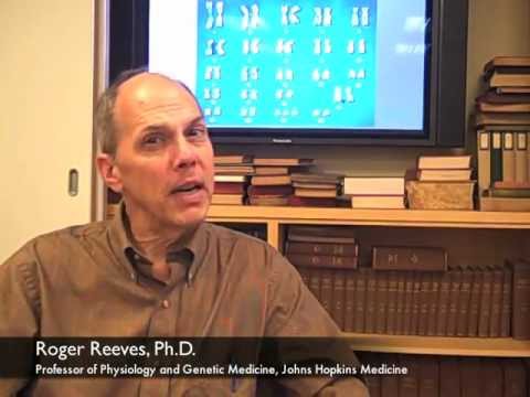 Improving Cognition in People with Down's Syndrome