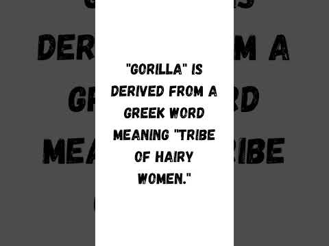 Word Origins "Gorilla" #gorilla #words #history #origin