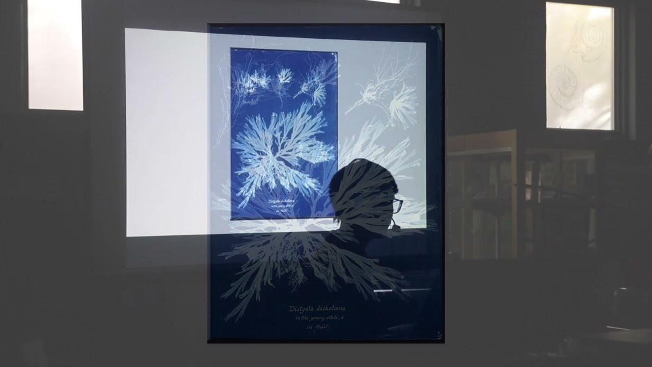 Tracy Hall Artist Talks at the Montana Natural History Center