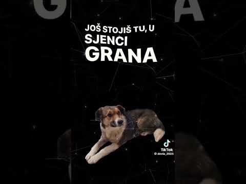 Dona zauvek ces biti u nasim srcima❤️🕊️