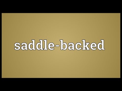 Saddle-backed Meaning