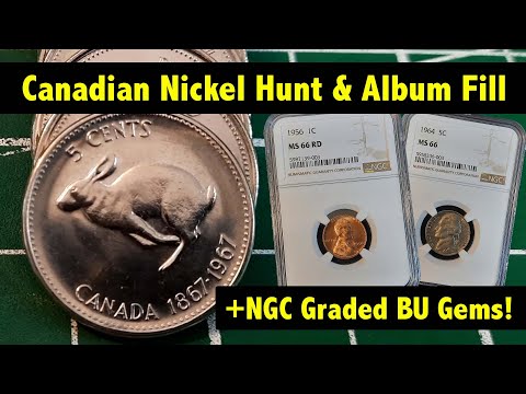Canadian Nickel Hunt & Album Fill #9 + my first SLABBED & GRADED Coins! High Grade!!)