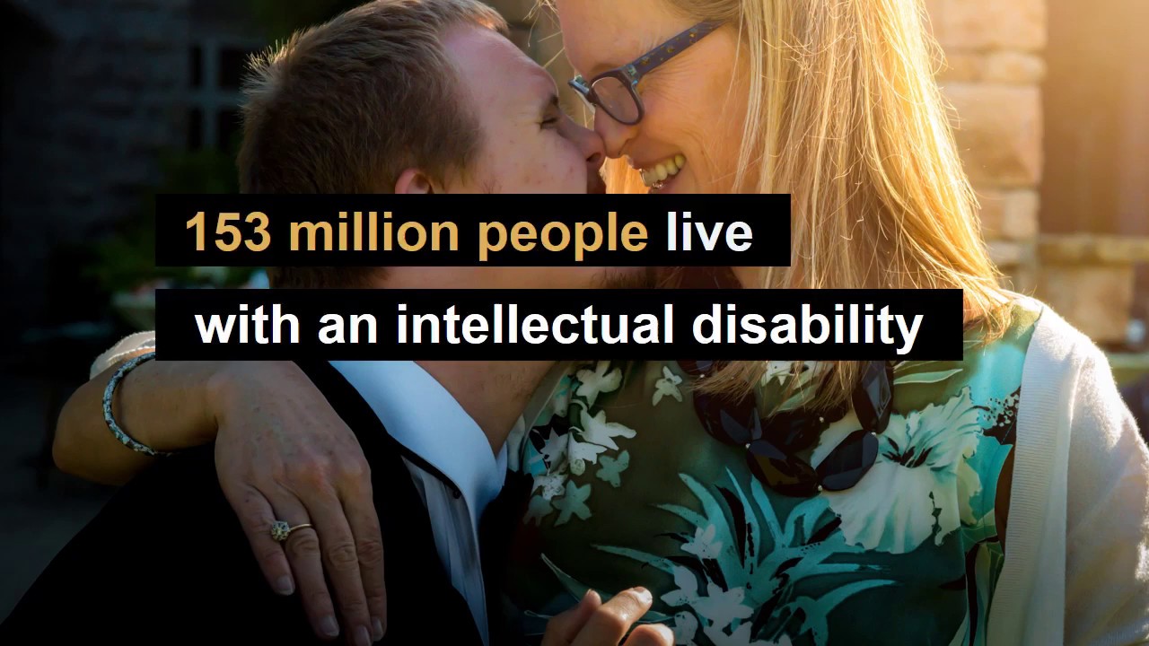 Public Transport: Accessibility Solutions, also for the Intellectual Disability!