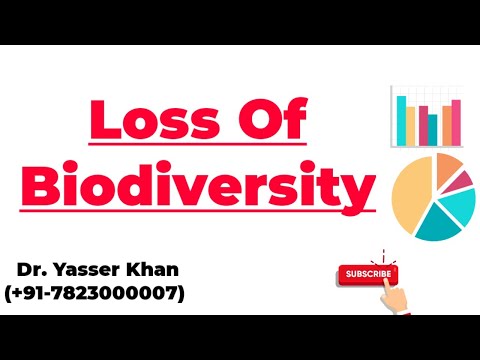 Loss Of Biodiversity