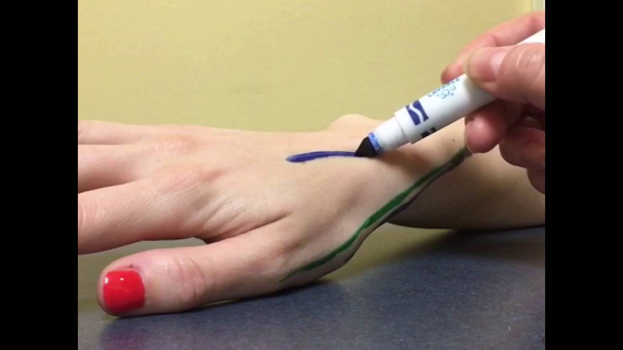 The first 3 dorsal extensor compartments of the wrist