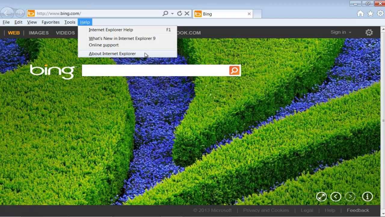How to Check Version of Internet Explorer