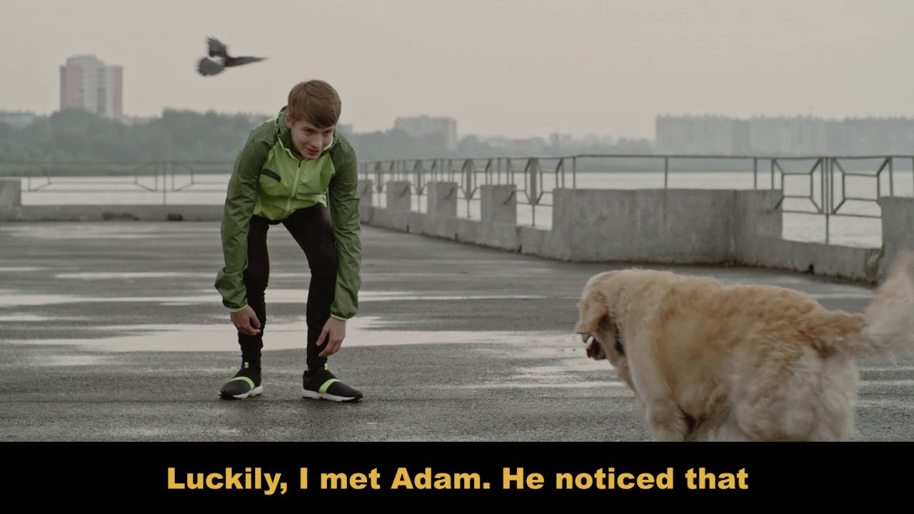 Ensure your pet’s safety with a new QR pet tag