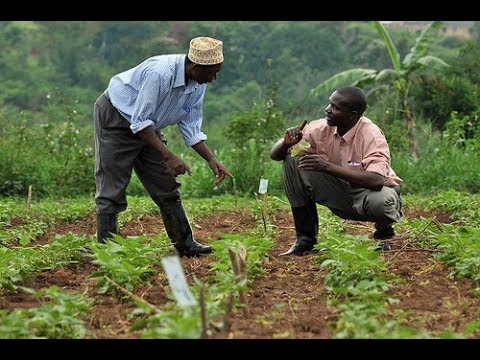 World Bank Intervention Program, FADAMA III Kicks Off