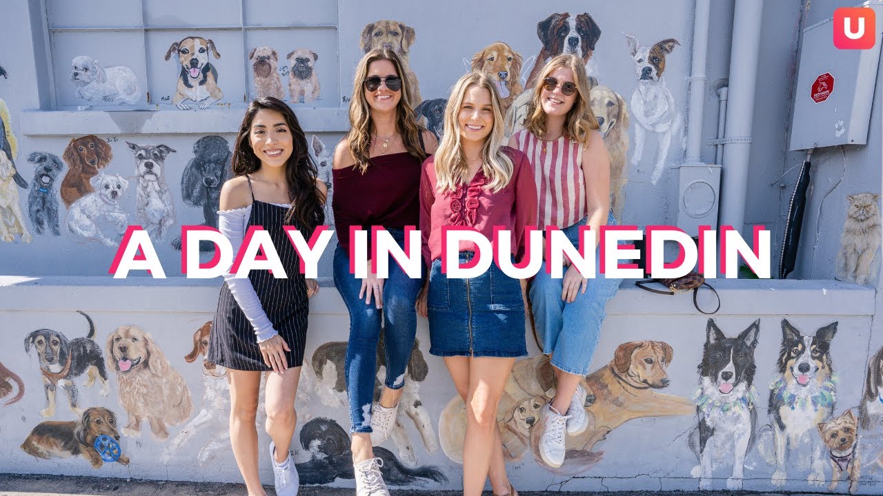 7 Best Breweries in Dunedin to Enjoy a Beer | UNATION