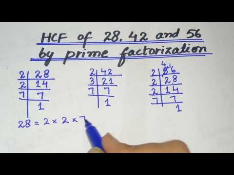 Hcf of 28 42 and 56 || by prime factorization || in Urdu/Hindi ||