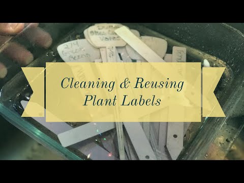 Quick Tip Cleaning And Reusing Plant Label Markers From Seed To