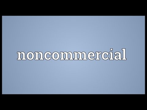 Noncommercial Meaning