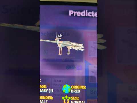 Let's try complete kelipie quest in horse life!