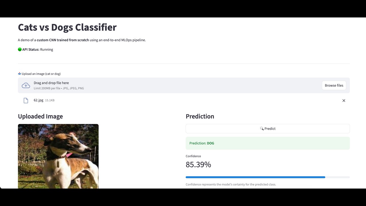 Binary Image Classification Demo