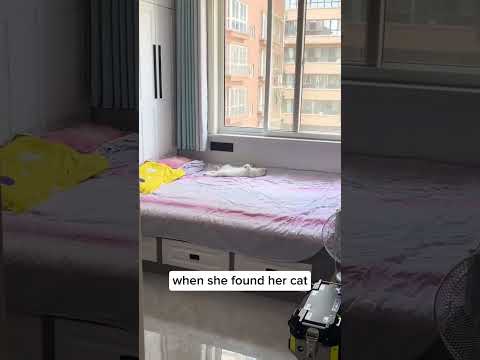 The cat was sleeping in a cutest way