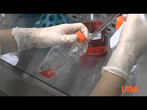 UTSA Bio Cell Lab