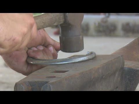 Take a swing at horseshoeing! Specialized Texas school says there's a shortage of workers