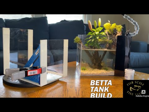 I built a Waterfall fish tank for a betta fish
