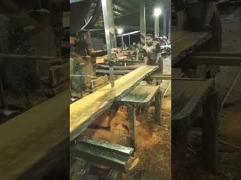 papan kayu Merbau yang paling dicari...#shorts