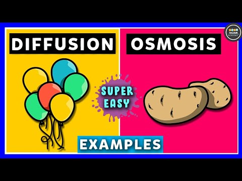 Diffusion and Osmosis