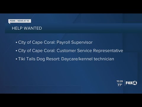 City of Cape Coral and Tiki Tails Dog Resort hiring