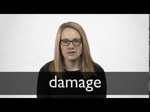 DAMAGE Synonyms | Collins English Thesaurus