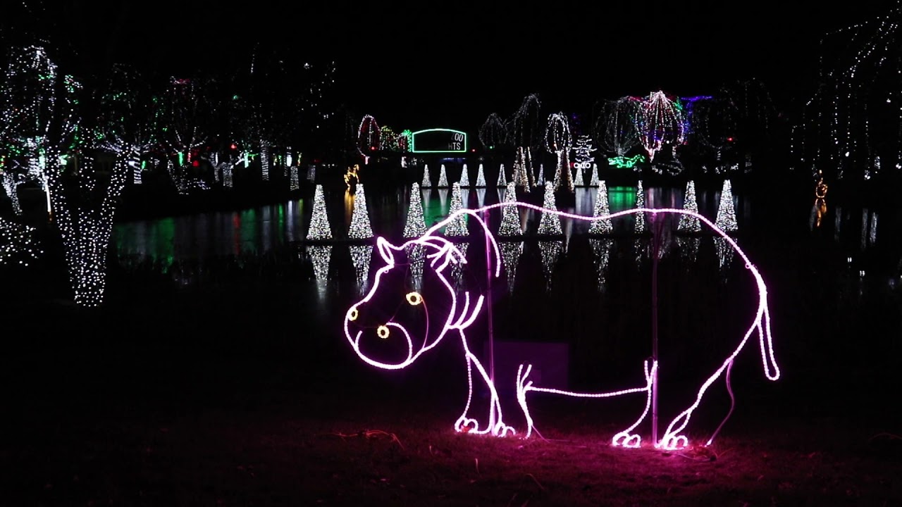 Columbus Zoo: Wildlights - December 2021