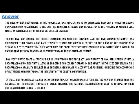What is the role of DNA polymerase in the process of DNA replication?