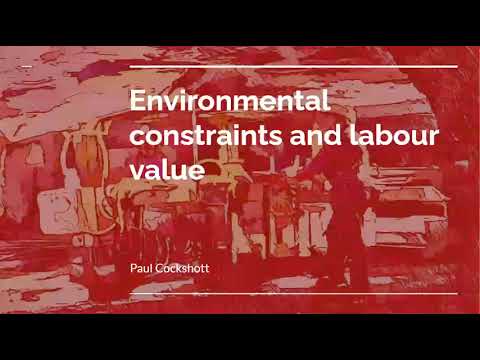 labour value and environmental constraints