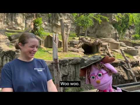 NHSA and Zoo in the Classroom: Birthday Bash