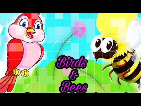 Birds and Bees Explained Correctly