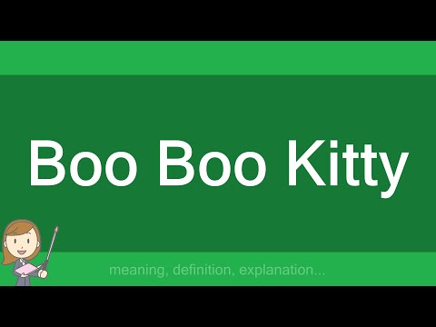 Boo Boo Kitty