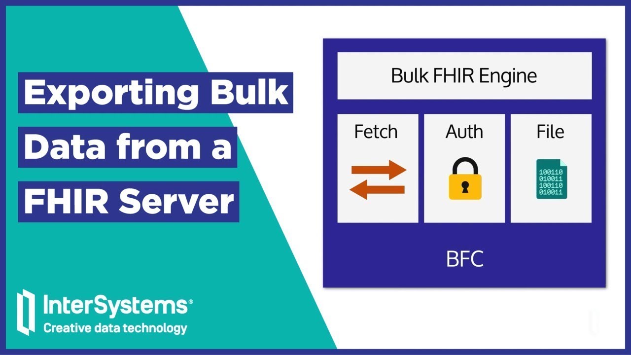 Exporting Bulk Data from a FHIR Server