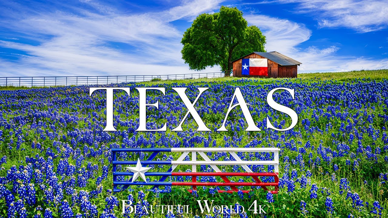 Spring Texas 4K - Bluebonnet Trails and Golden Light of Spring Awakening - Piano Music