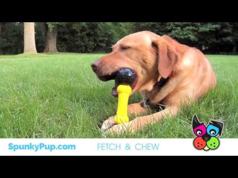 Fetch & Chew | Spunky Pup | Dog Toys