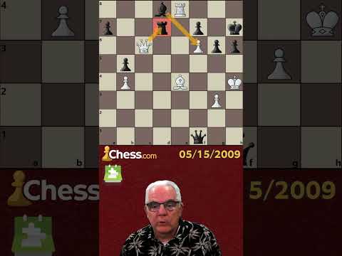 Gösta Stoltz vs. Savielly Tartakower | Bled 1931
