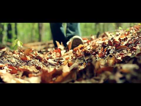 Tim Simpson Jr. Demo Reel