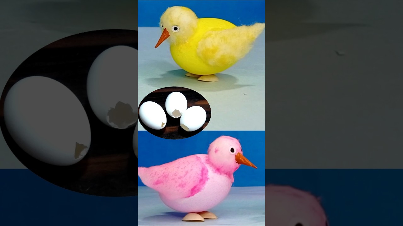 The BEST Way to Get Chicken Chicks out of Egg Shell Craft Revealed
