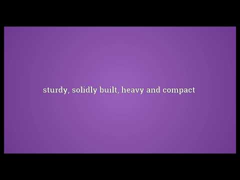 Stocky Meaning