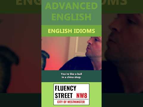 LIKE A BULL IN A CHINA SHOP | English expressions | #shorts