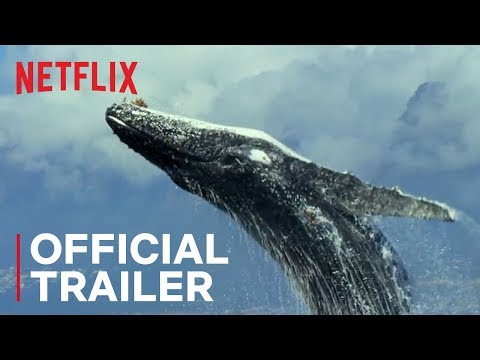 15 Best Nature Documentaries on Netflix in 2022 - Animal Movies