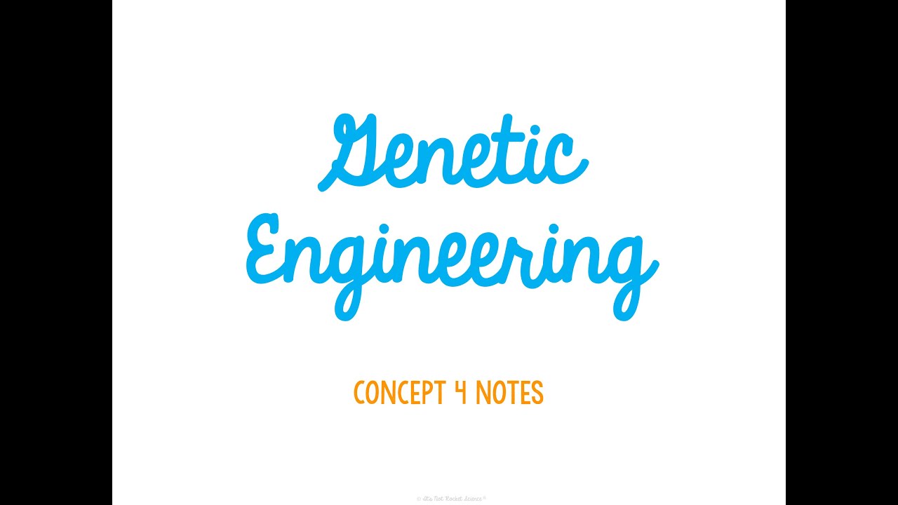 Unit 5 Heredity Concept 4 Notes *UPDATED*