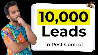 Pesty Marketing Reviews and Clients | DesignRush