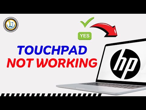 Fix HP Touchpad Not Working in Windows 11/10 | How To Solve hp Laptop Touchpad Issues 💻✅