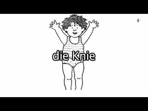 De namen van lichaamsdelen in het Duits